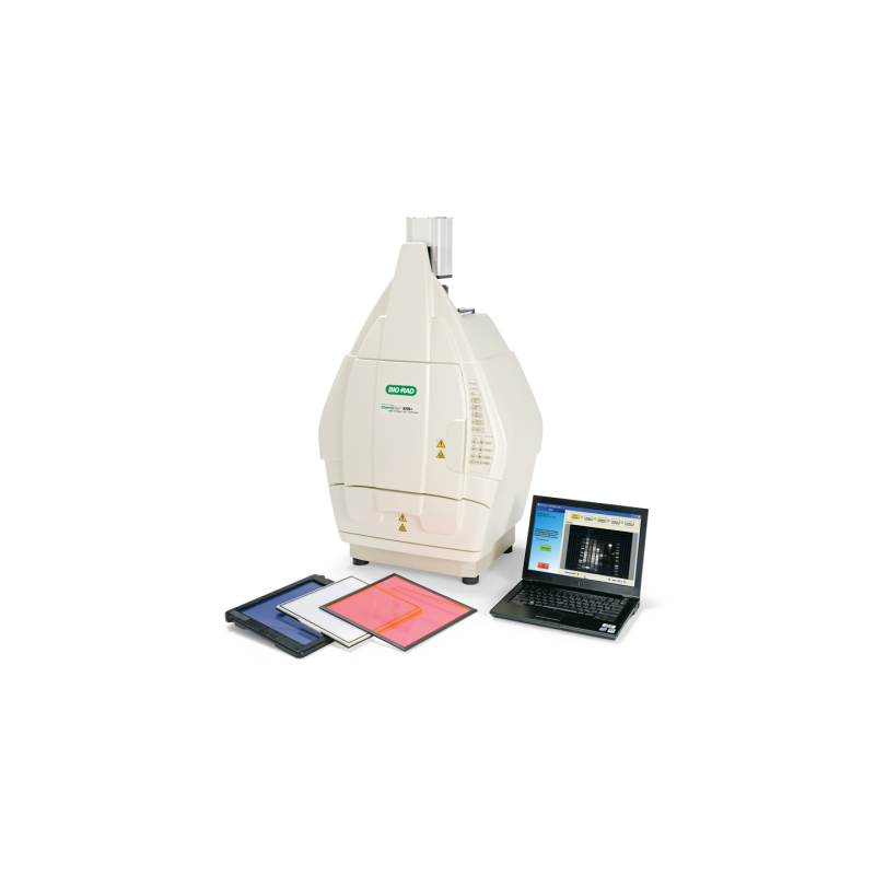 Bio Rad Logo BIO RAD CFX96 Dx (CE IVD) REAL TIME PCR | LabX.com